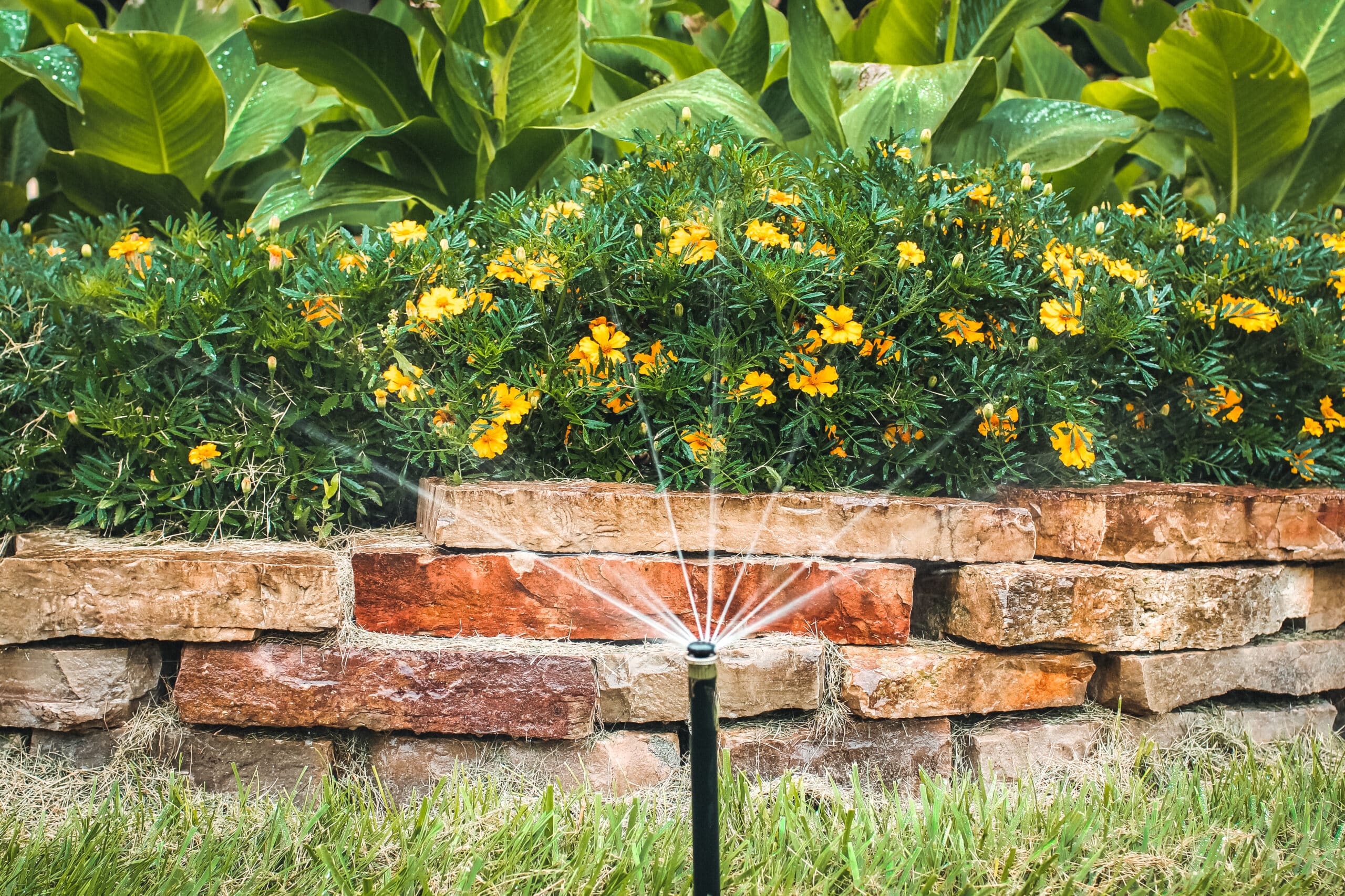 What is a Licensed Technology Systems Contractor | West Irrigation Services